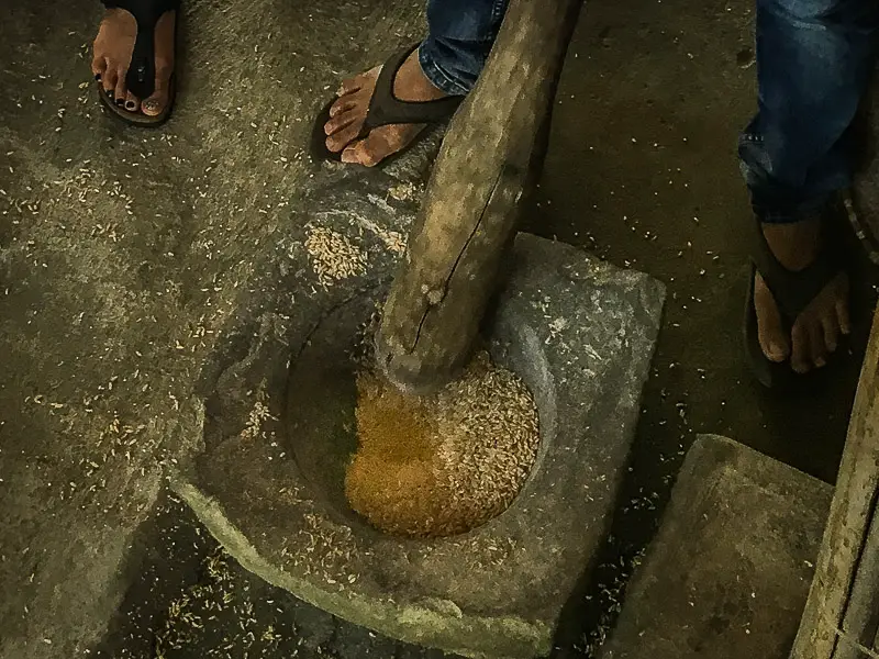 CC rice pounding - The Roaming Fork