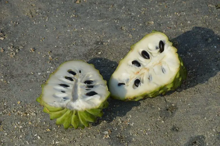 19 Delicious Chilean Fruits: Experience The Exotic - The Roaming Fork