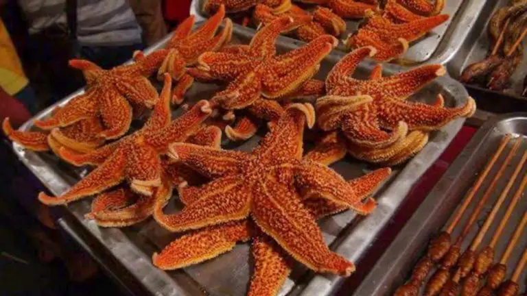 Can You Eat Starfish? - The Roaming Fork