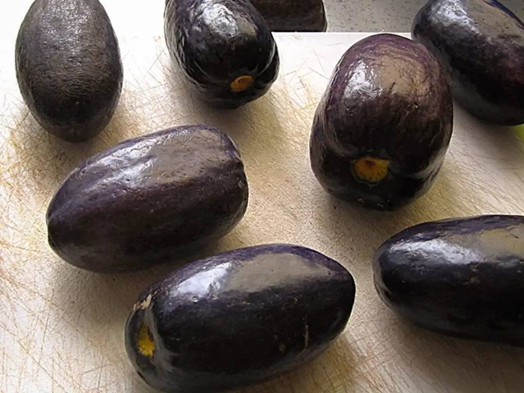 African Pear: The Unique African Fruit - The Roaming Fork