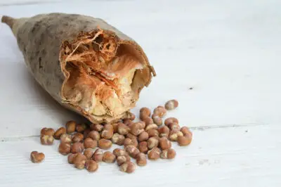 19 African Fruits You Need to Try - The Roaming Fork