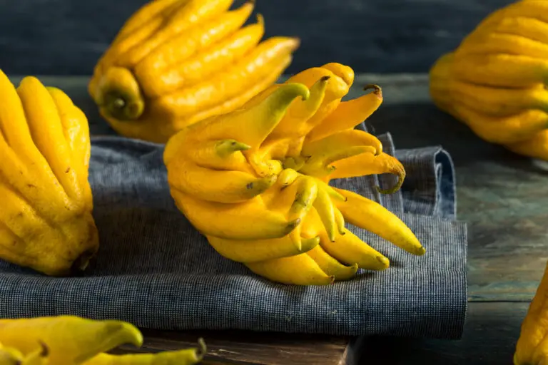 23 Exotic Chinese Fruits to Try on Your Travels - The Roaming Fork