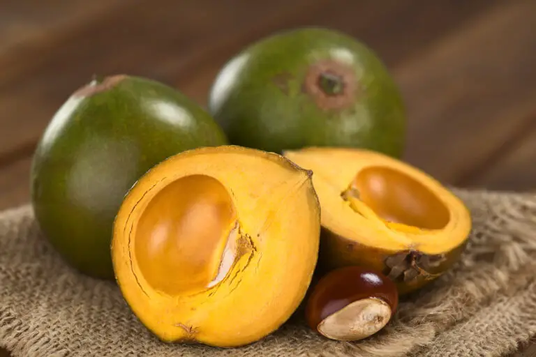 19 Delicious Chilean Fruits: Experience The Exotic - The Roaming Fork