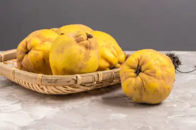 19 Delicious Chilean Fruits: Experience The Exotic - The Roaming Fork