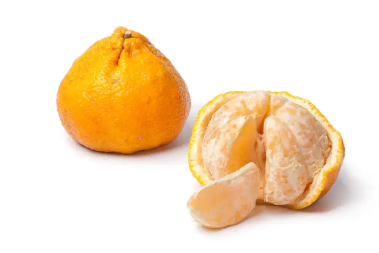 29 Yellow Fruits: Nature's Golden Treats - The Roaming Fork