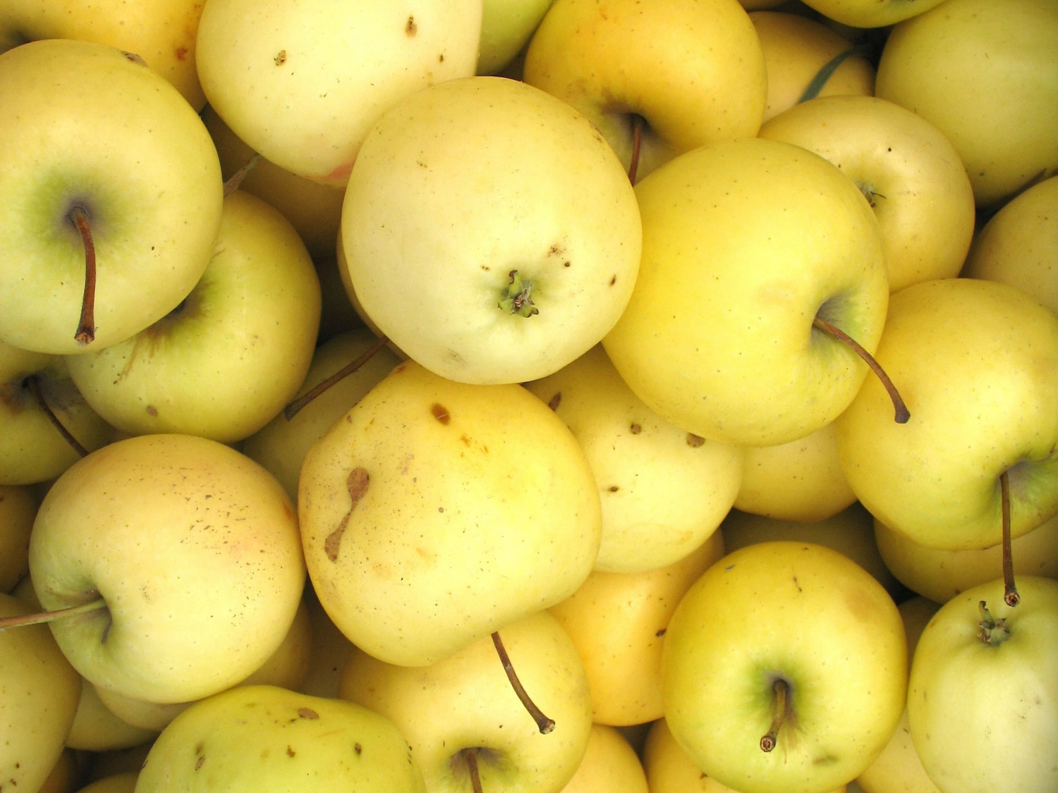 29 Yellow Fruits: Nature's Golden Treats - The Roaming Fork