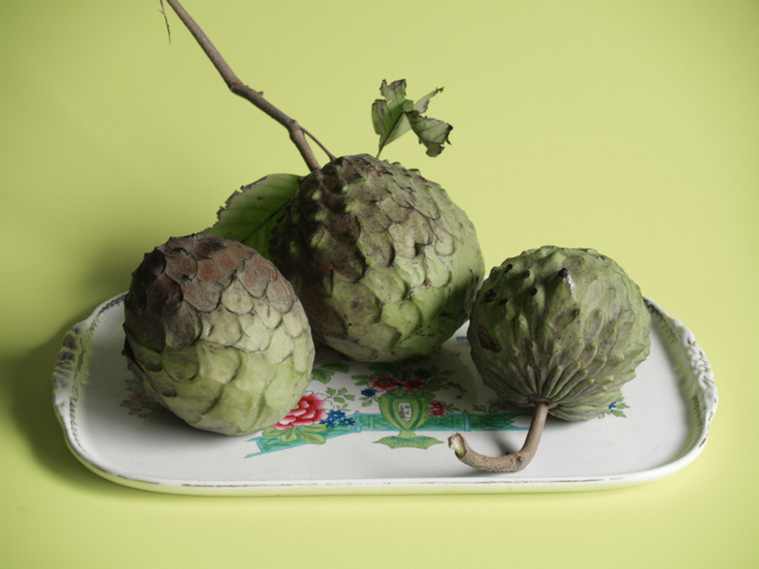 12 Unique Fruits That Start With U - The Roaming Fork