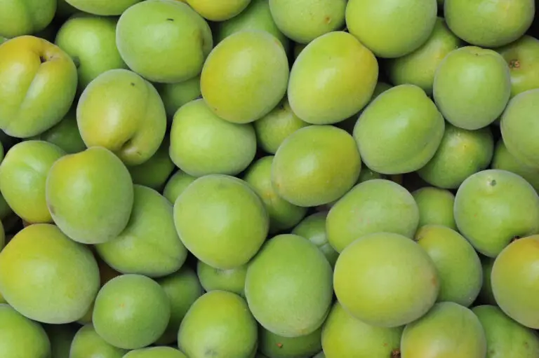 12 Unique Fruits That Start With U - The Roaming Fork