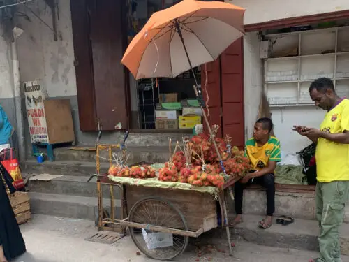 Zanzibar Food: Street Food to Tropical Fruits - The Roaming Fork