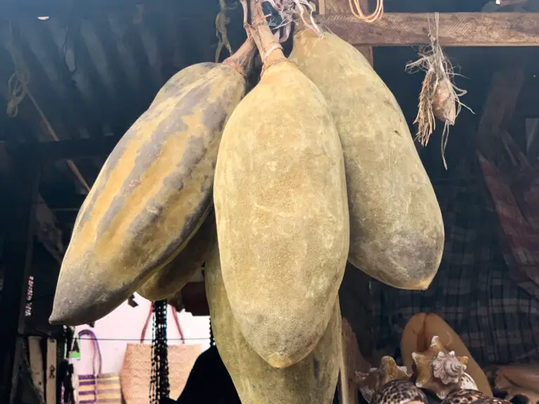 Fruits in Zanzibar - The Roaming Fork