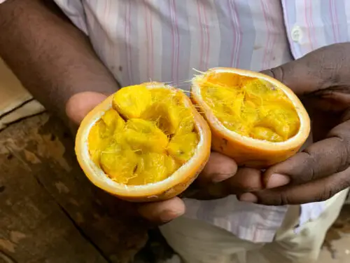 Food Travel: Best Tips for Planning a Food Trip - The Roaming Fork