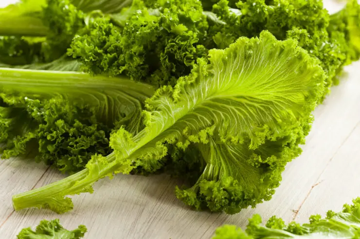 Substitute for Broccoli Rabe: 10 Best Alternatives - The Roaming Fork