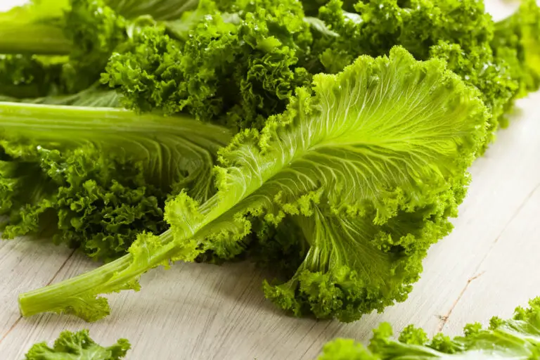 Substitute for Broccoli Rabe: 10 Best Alternatives - The Roaming Fork