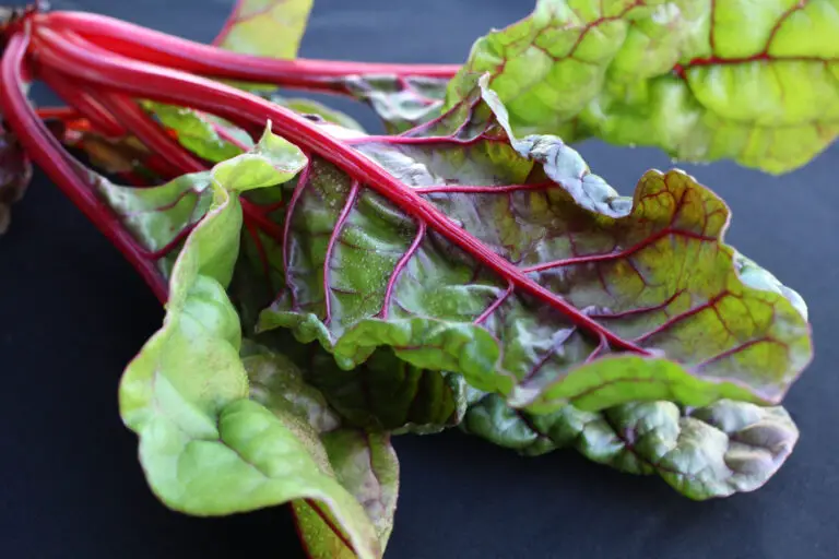 Substitute for Broccoli Rabe: 10 Best Alternatives - The Roaming Fork