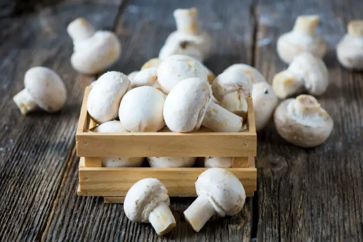 (9) Best Earthy Cremini Mushroom Substitute - The Roaming Fork