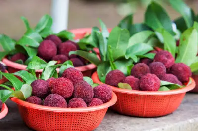 23 Exotic Chinese Fruits to Try on Your Travels - The Roaming Fork