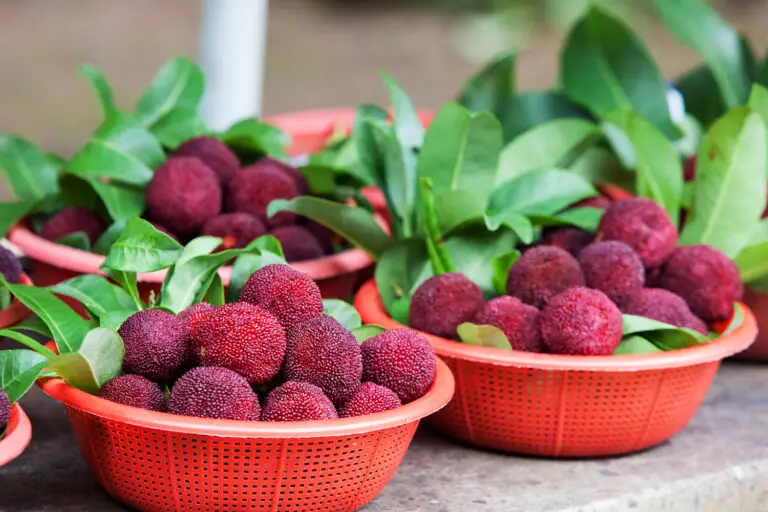 23 Exotic Chinese Fruits to Try on Your Travels - The Roaming Fork