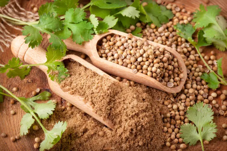 21 Asian Spices Essential for Asian Recipes - The Roaming Fork