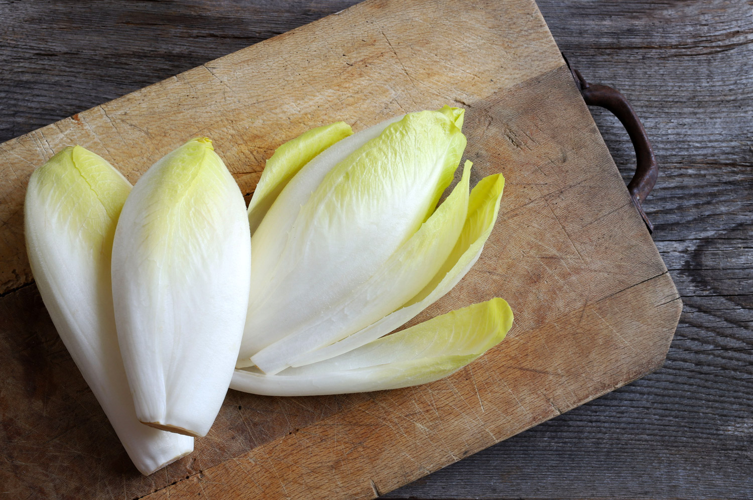 The Best Substitute for Napa Cabbage - 10 Alternatives - The Roaming Fork
