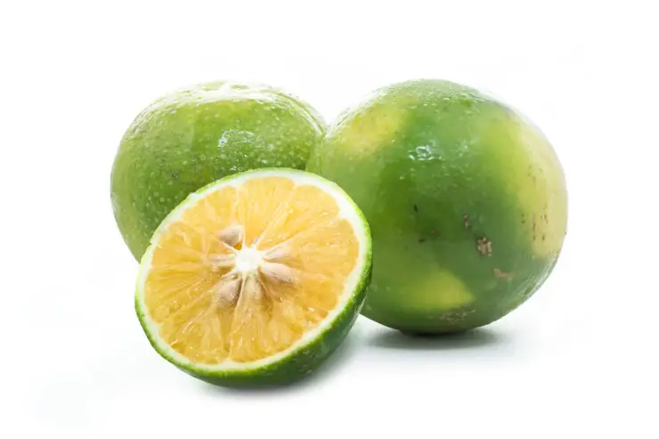 Fresh fruit Mosambi (sweet lime) isolated on white background - The ...