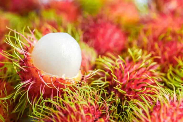 What Does Rambutan Taste Like And How To Eat It? - The Roaming Fork