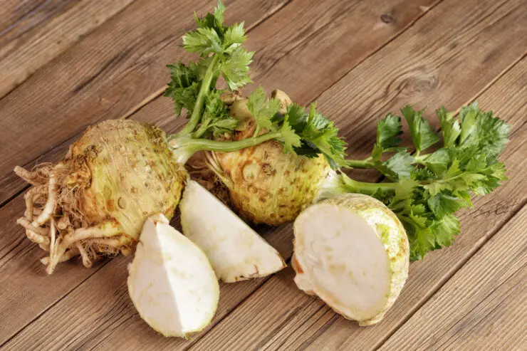 10 Best Substitutes for Carrots in Recipes - The Roaming Fork