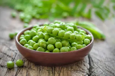 7 Substitutes for Fava Beans: Get Creative in the Kitchen - The Roaming ...