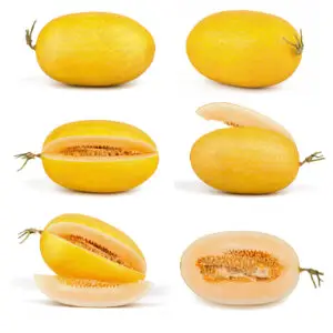 The Delicious Golden Hami Melon - The Roaming Fork