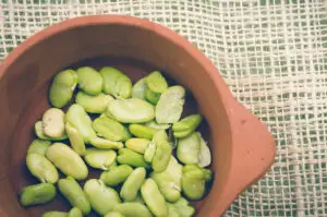 7 Substitutes for Fava Beans: Get Creative in the Kitchen - The Roaming ...