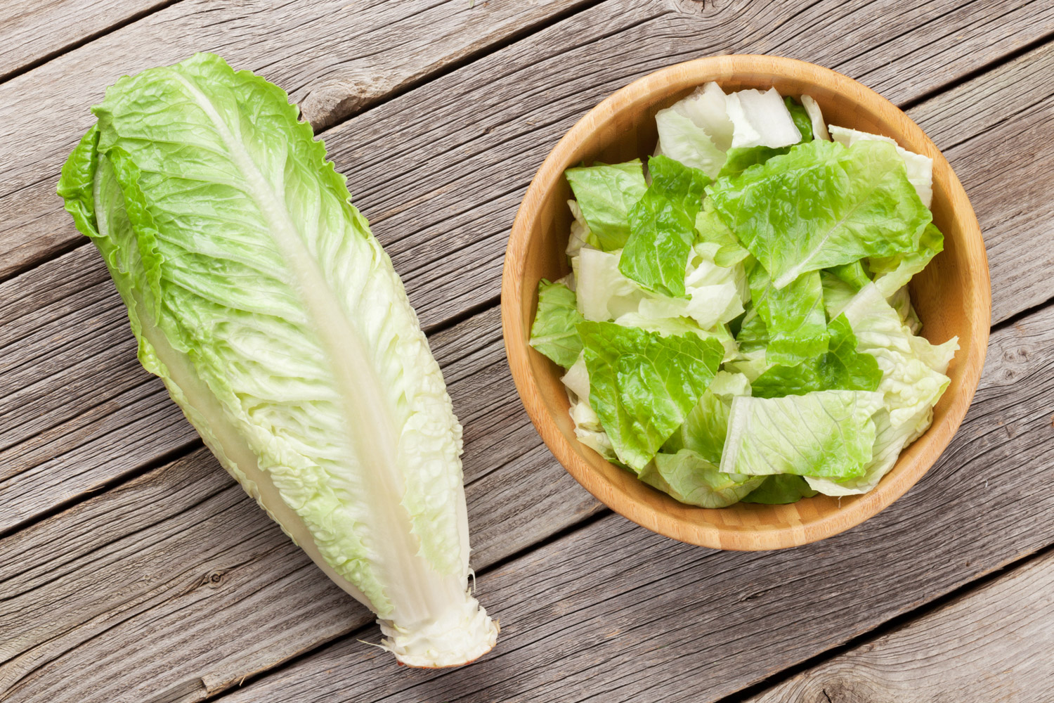 The Best Substitute for Napa Cabbage - 10 Alternatives - The Roaming Fork