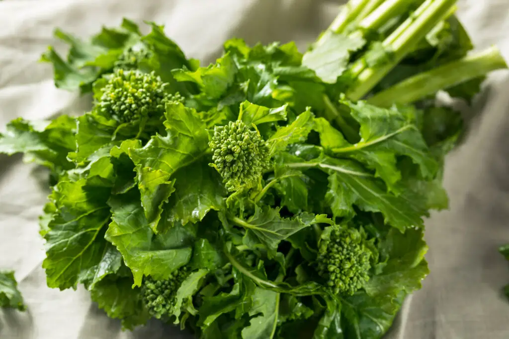 Substitute for Broccoli Rabe: 10 Best Alternatives - The Roaming Fork