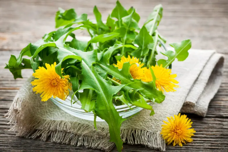 Substitute for Broccoli Rabe: 10 Best Alternatives - The Roaming Fork