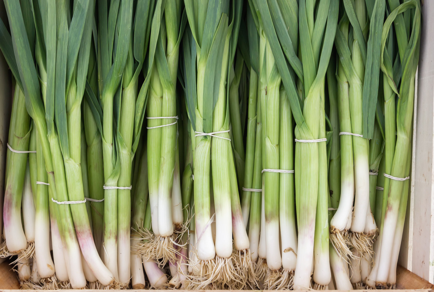 The Best Spring Onion Substitute: 7 Alternatives - The Roaming Fork