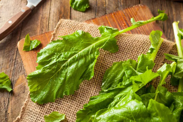 Substitute for Broccoli Rabe: 10 Best Alternatives - The Roaming Fork