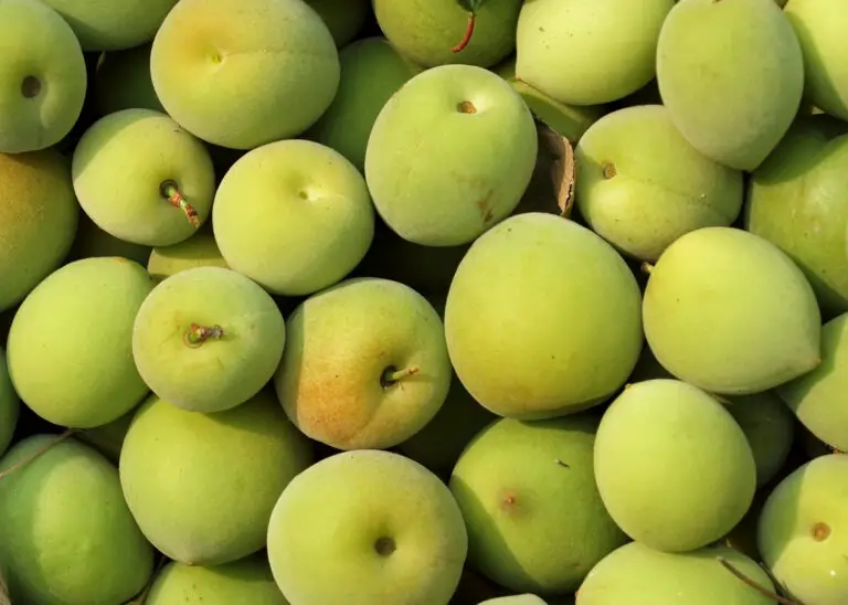 23 Exotic Chinese Fruits to Try on Your Travels - The Roaming Fork