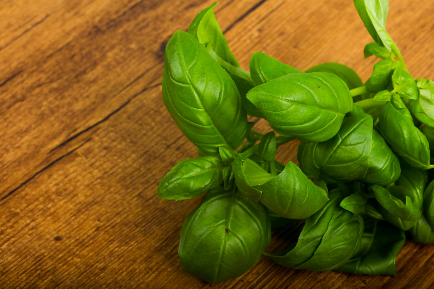 Best Perilla Leaves Substitute for That Minty and Spicy Flavor - The ...