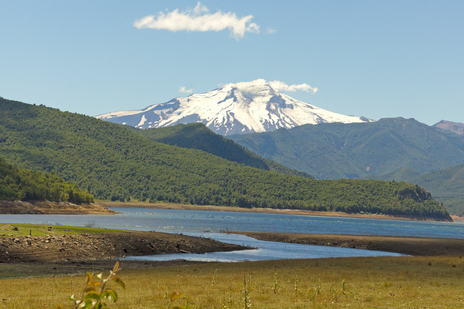 Bio Bio Chile: A Guide to The Fruitful Paradise - The Roaming Fork