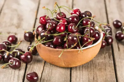 Bio Bio Chile: A Guide to The Fruitful Paradise - The Roaming Fork