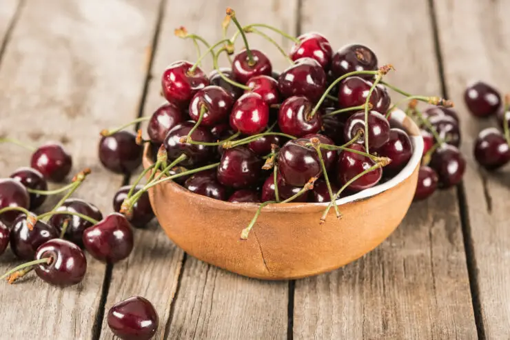 Bio Bio Chile: A Guide to The Fruitful Paradise - The Roaming Fork