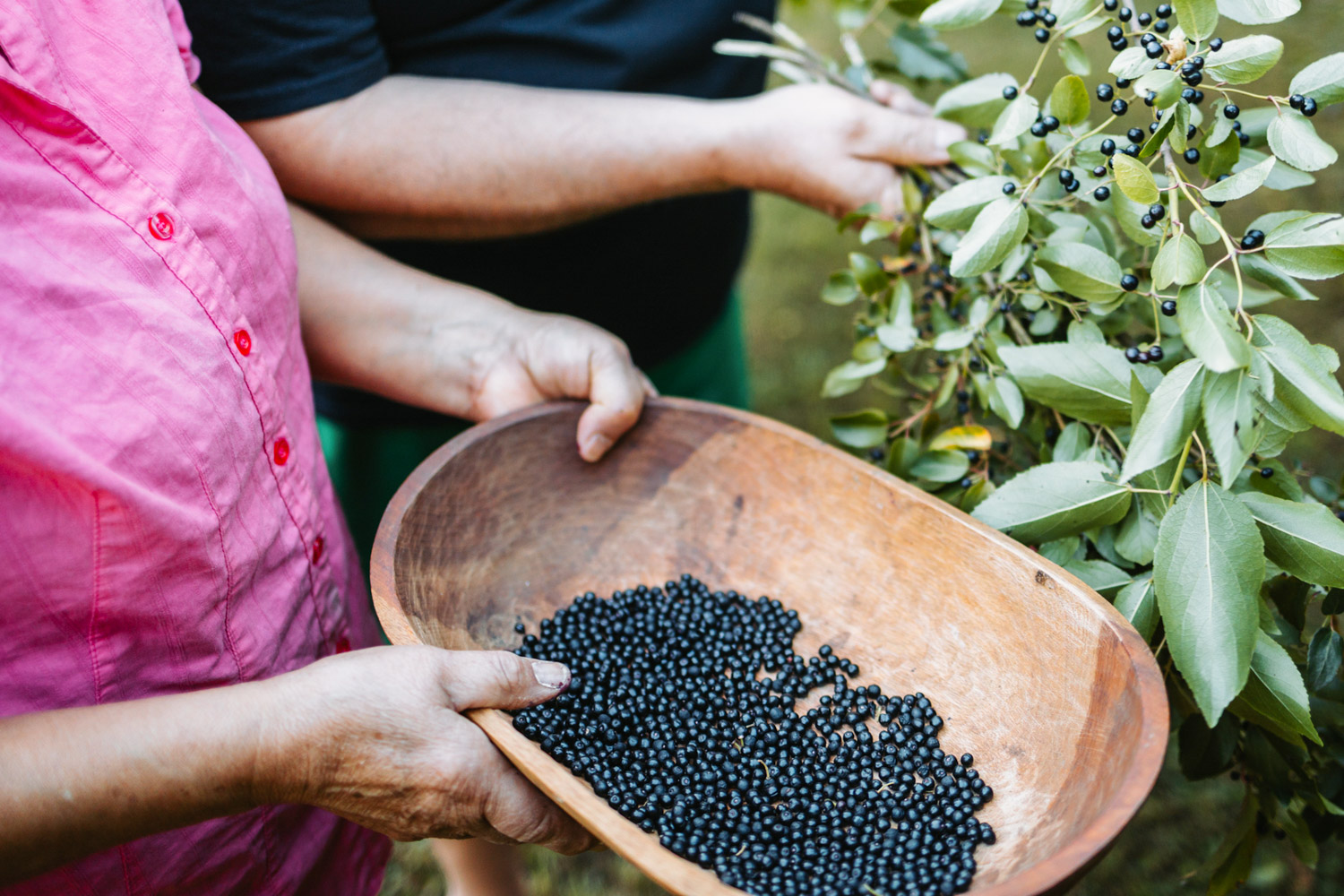 19 Delicious Chilean Fruits: Experience The Exotic - The Roaming Fork
