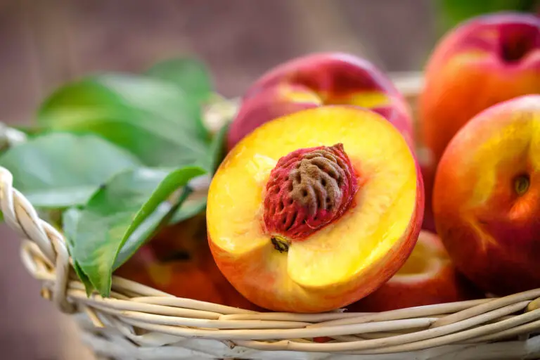 18 Orange Colored Fruits You'll Love - A Comprehensive List - The ...