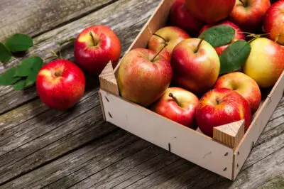 19 Delicious Chilean Fruits: Experience The Exotic - The Roaming Fork