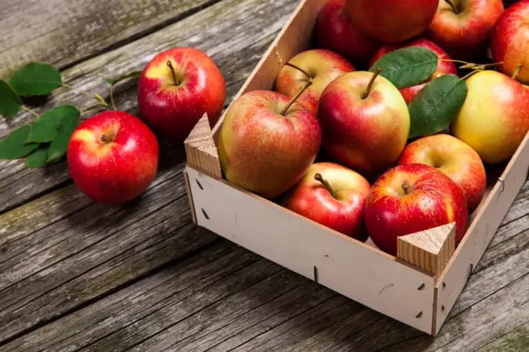 19 Delicious Chilean Fruits: Experience The Exotic - The Roaming Fork