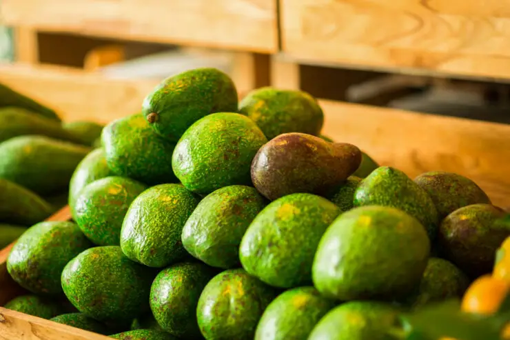 19 Delicious Chilean Fruits: Experience The Exotic - The Roaming Fork