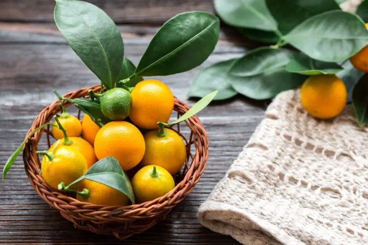 18 Orange Colored Fruits You'll Love - A Comprehensive List - The ...