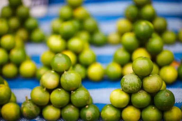 19 Delicious Chilean Fruits: Experience The Exotic - The Roaming Fork