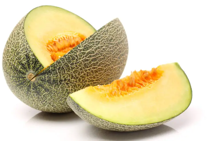 11 Indian Summer Fruits to Quench Your Thirst and Beat the Heat - The ...
