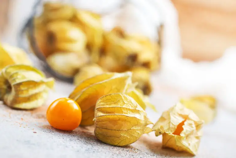 18 Orange Colored Fruits You'll Love - A Comprehensive List - The ...