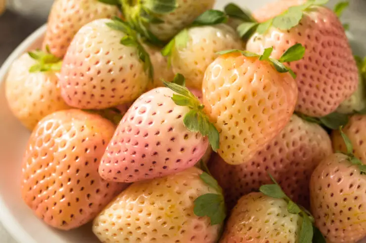 19 Delicious Chilean Fruits: Experience The Exotic - The Roaming Fork